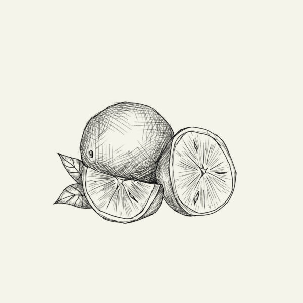 Homepage - Noble Craft Distillery